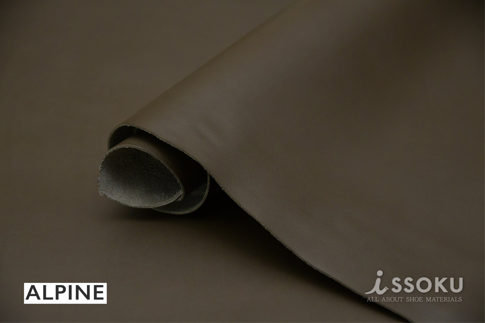 ECCO®︎ Leather【DROID-ドロイド】Alpine/アルパイン – issoku